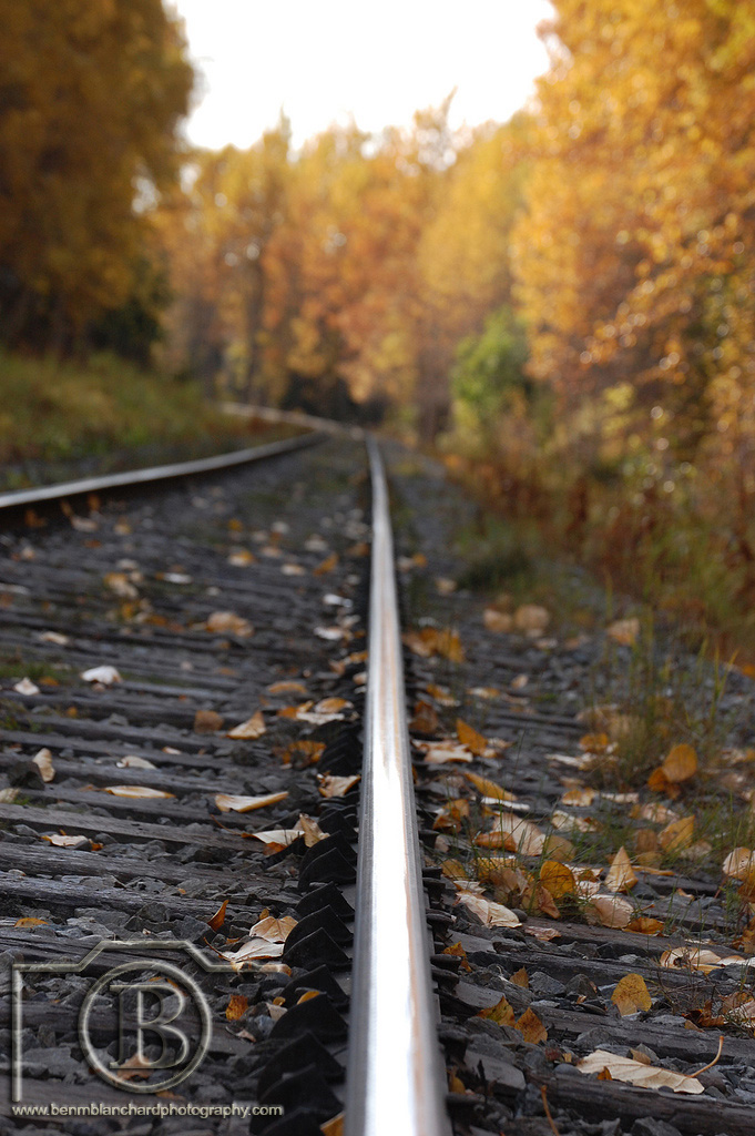 Alaska Railroad in Fall | Blanchard Photography